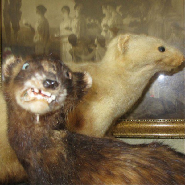 The 20 Worst Examples Of Stuffed Animals (Photo Gallery)