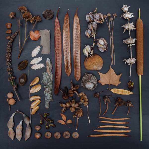 dazzling-staged-photographs-from-everyday-objects-14 | TechnoCrazed