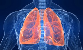 The World's First Artificial Lung: A Major Breakthrough For The Future ...