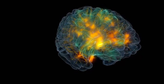 3D-modeling-of-human-brain-activity-1 | TechnoCrazed 3D-modeling-of-human-brain-activity-1 | TechnoCrazed