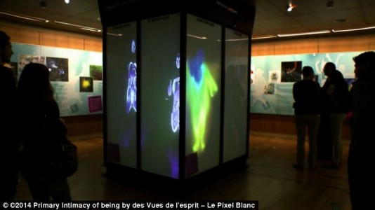 A 3D Mirrors Can Help You Explore Your Internal Body Organs And Bones