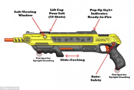 Bug-A-Salt: An Air Powered Gun That Fires Salt To Kill Mosquitoes And Flies