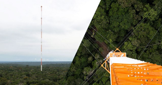 Discover This Gigantic Meteorological Tower Erected In Amazon Rainforest