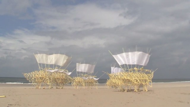 These Tremendous Skeletons Move By Themselves Using Wind Force