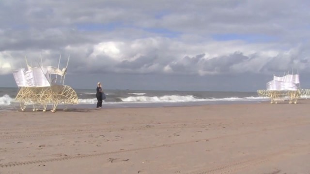 These Tremendous Skeletons Move By Themselves Using Wind Force
