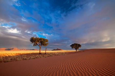 Most Beautiful Photographs To Reveal The Beautiful Namibian Desert