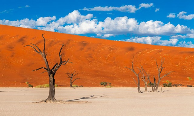 Most Beautiful Photographs To Reveal The Beautiful Namibian Desert