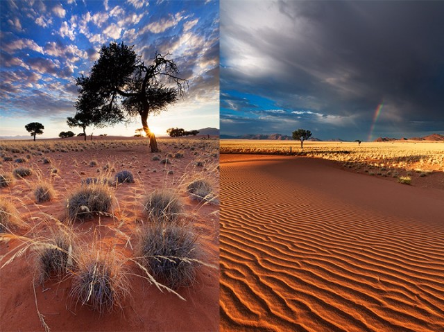 Most Beautiful Photographs To Reveal The Beautiful Namibian Desert
