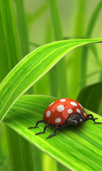 71 HD Samsung Wallpapers For Free Download