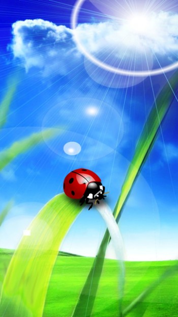 71 HD Samsung Wallpapers For Free Download