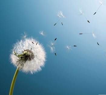 71 HD Samsung Wallpapers For Free Download